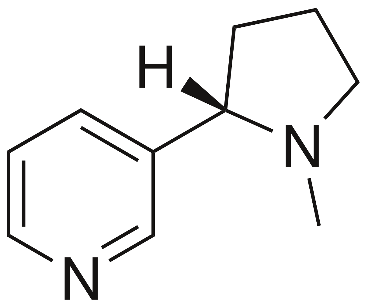 Nicotine Chemical Structure - ELV BIOSCIENCE